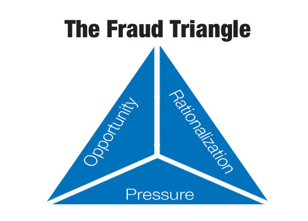 Analysis: Detecting Corporate Fraud - C.P. Palema Limited